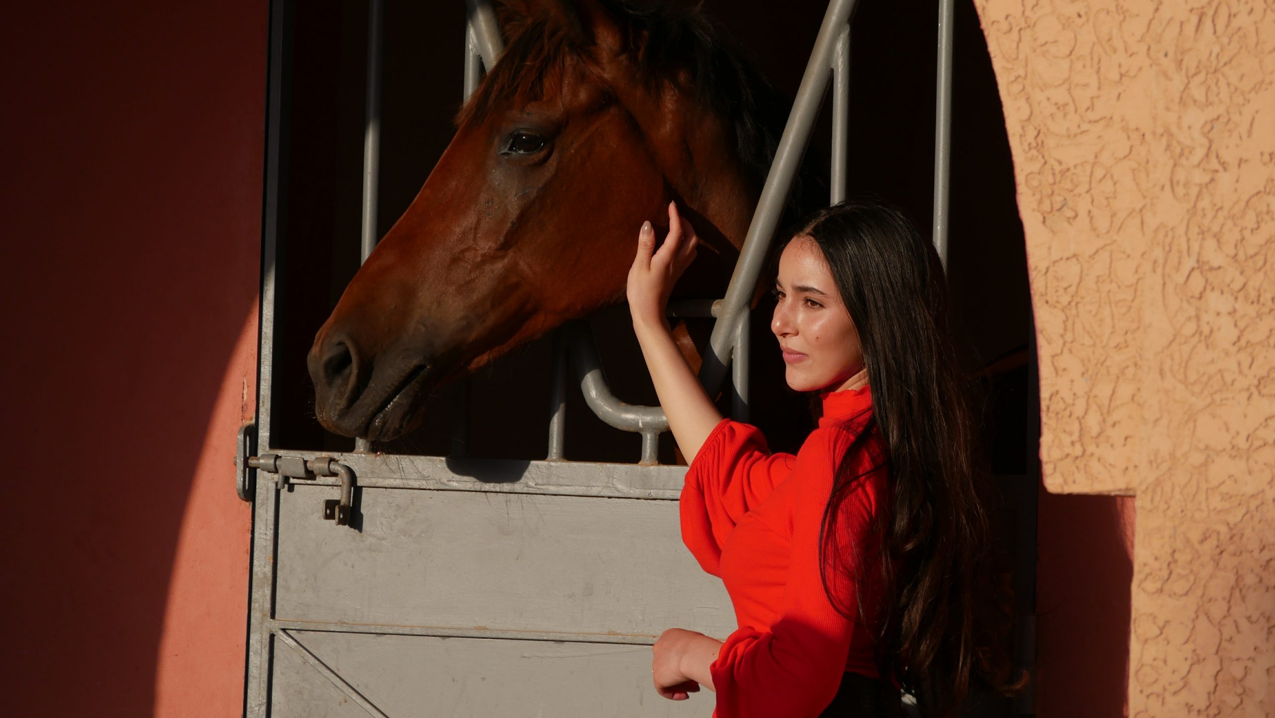 Equitation ( Balade à Cheval ) | 2h circuit foret horse riding agadir